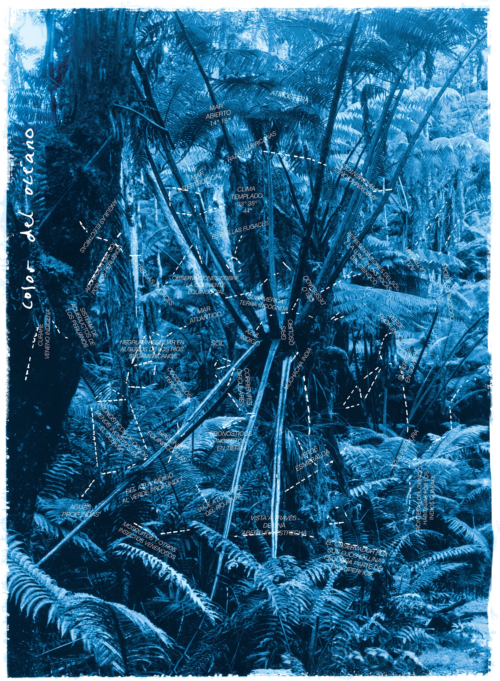 Studies of Color in Motion – THECAZAPROJECT