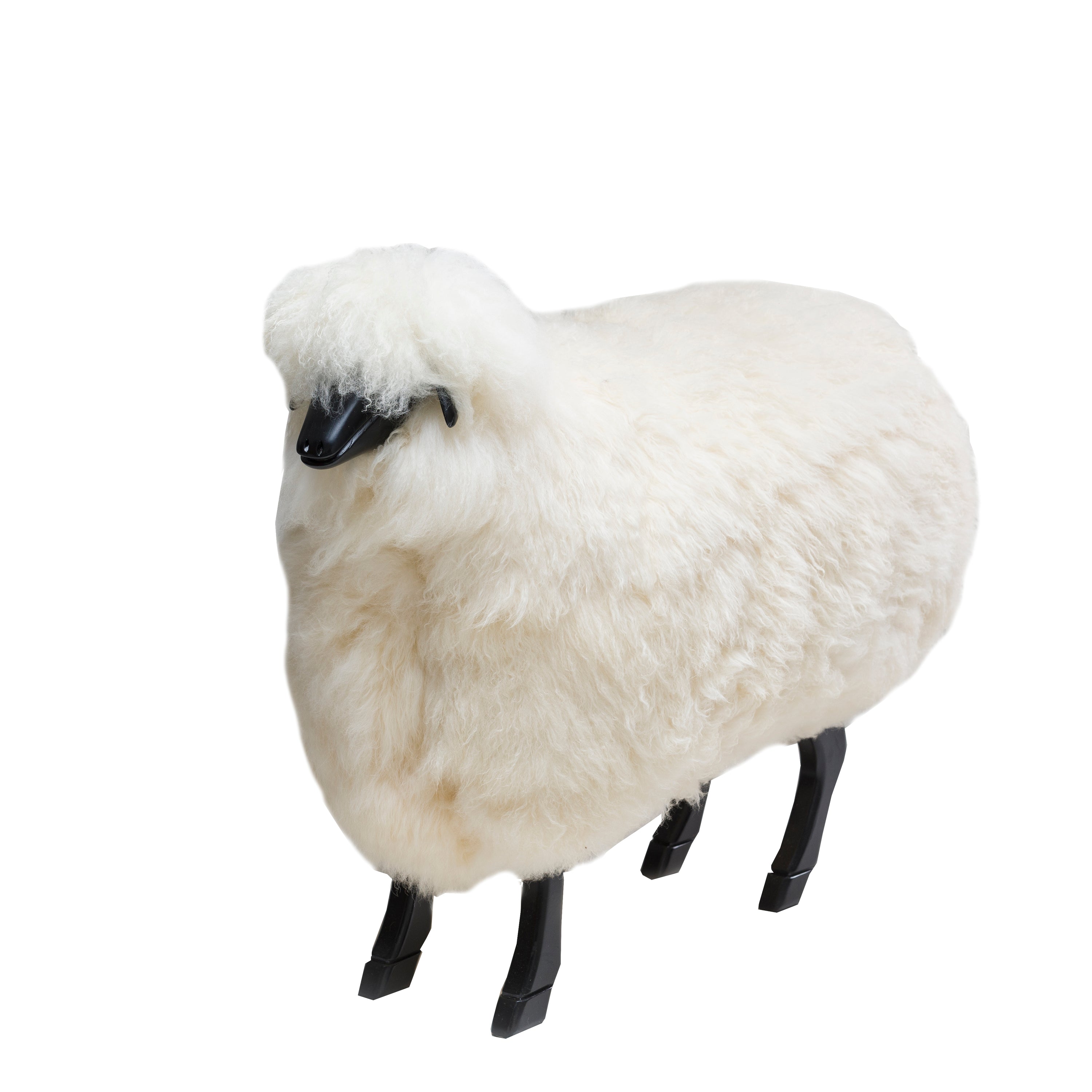 George Sheep – THECAZAPROJECT